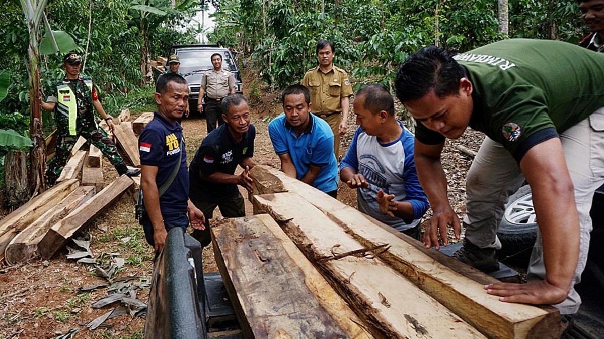 The capacity of the Rapid Response Forestry Police Unit needs to be ...