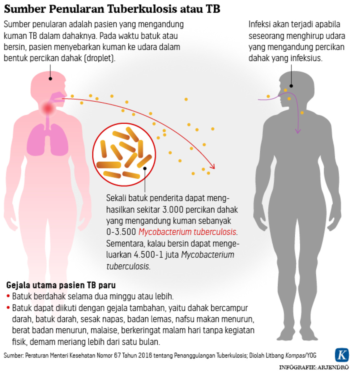 Penanggulangan Tuberkulosis Belum Berbasis HAM - Kompas.id