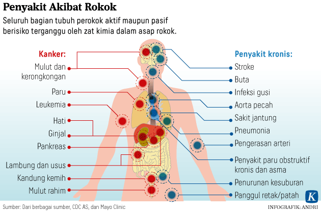 Kanada Wajibkan Label Peringatan Kesehatan di Setiap Batang Rokok ...