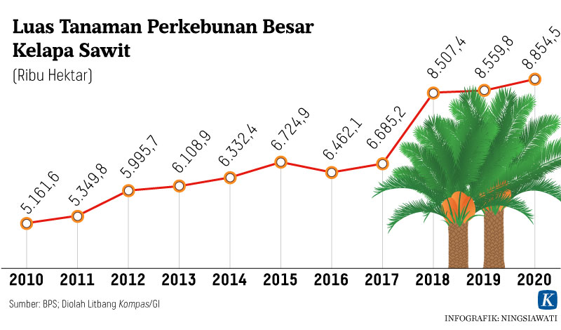 ”Pulau Pohon” Bisa Pulihkan Keanekaragaman Hayati di Perkebunan Kelapa ...