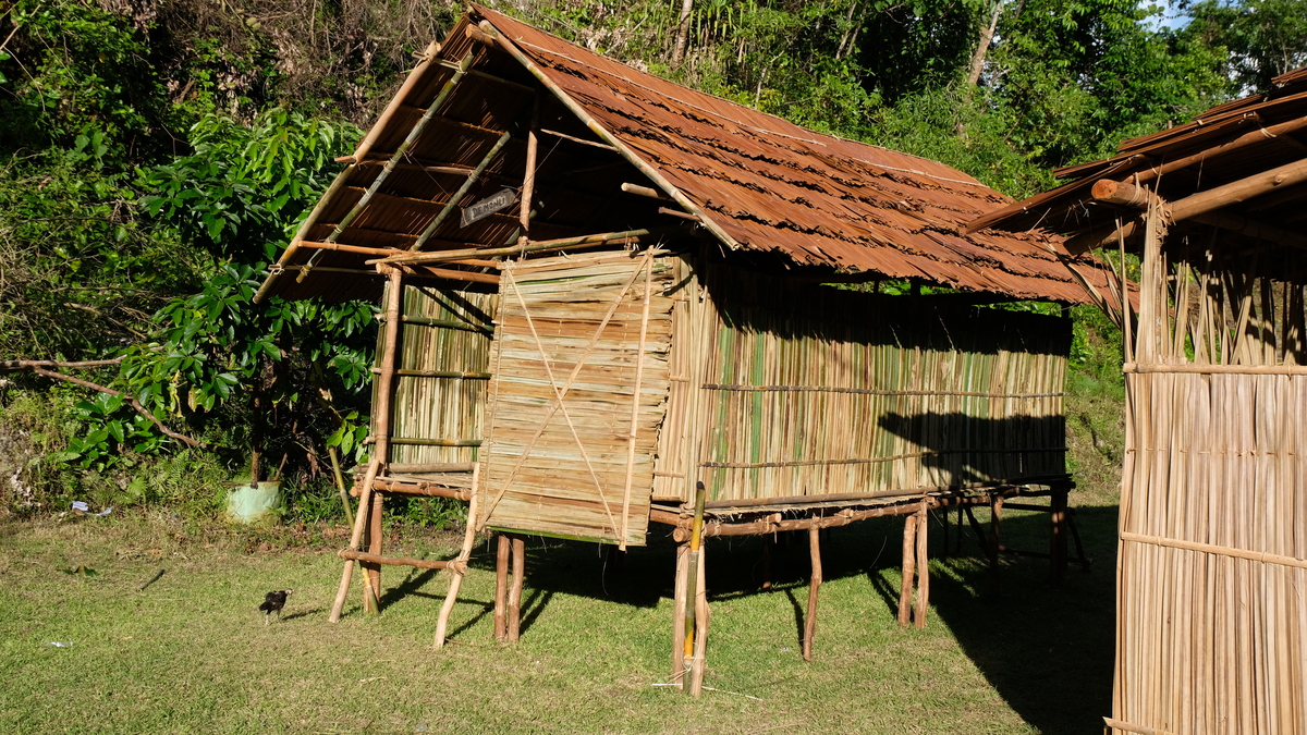 Buluh Bambu dan Bambu Rekayasa untuk Bahan Konstruksi Ramah Lingkungan ...