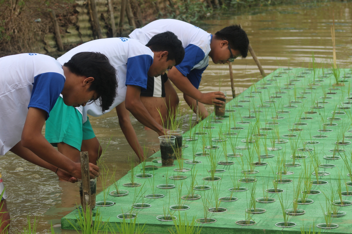 Budidaya Padi Apung Mulai Dicoba Di Kalsel Kompas Id