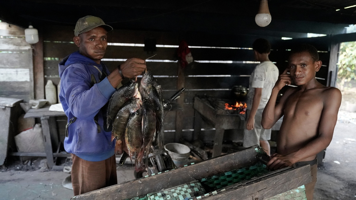 Non-endemic Fish for Marind People’s Survival - Kompas.id
