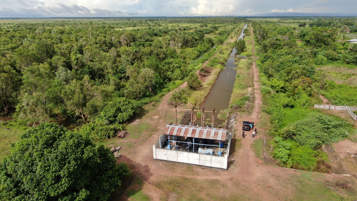Food Estate in Merauke - Kompas.id