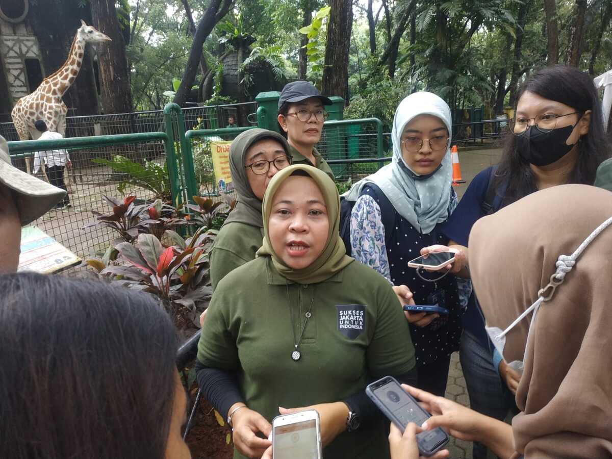 Anggaran Taman Margasatwa Ragunan Tahun 2023 Naik Rp 21 Miliar - Kompas.id