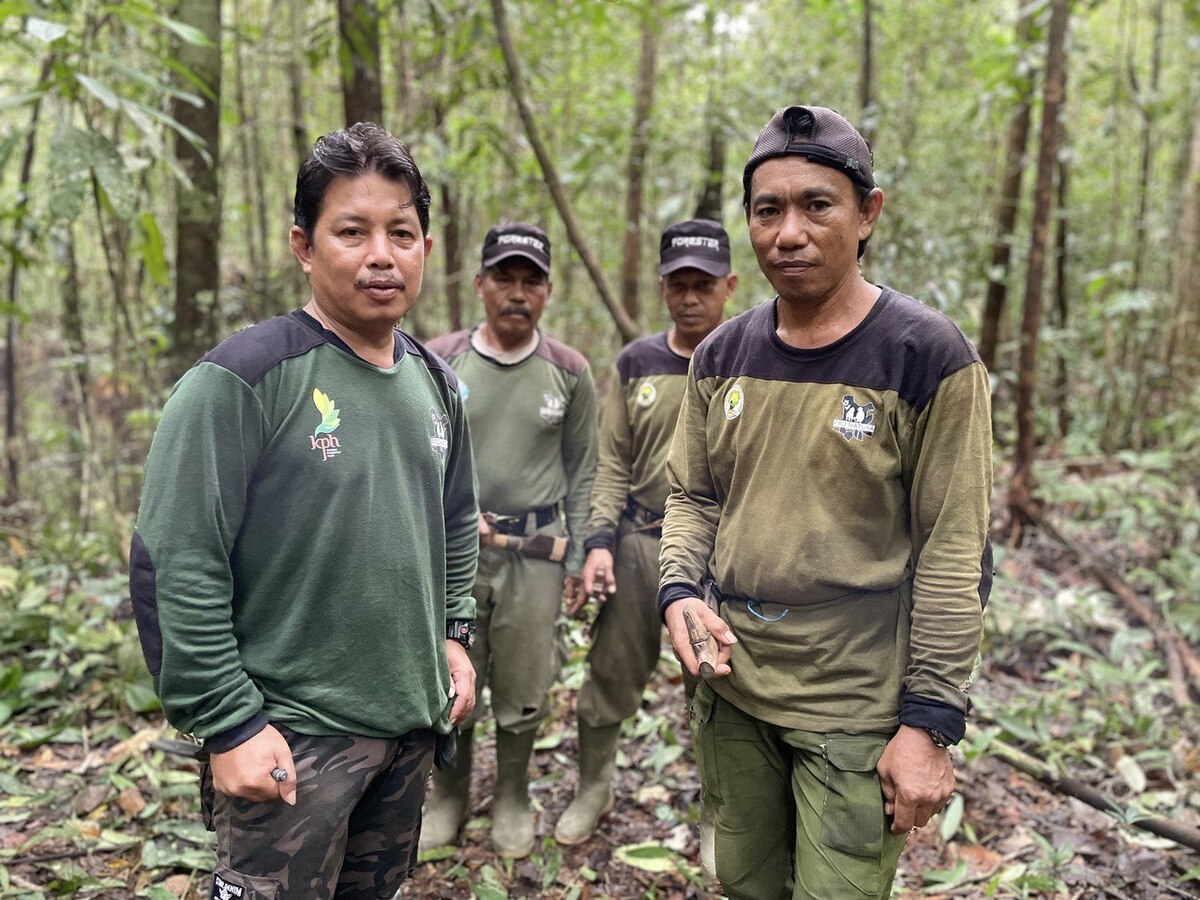 Berjalan dan Bermalam Menjaga Hutan Terakhir Balikpapan - Kompas.id