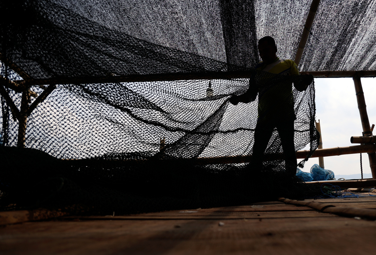 Grouper and Barramundi Cultivation in Floating Net Cages - Kompas.id