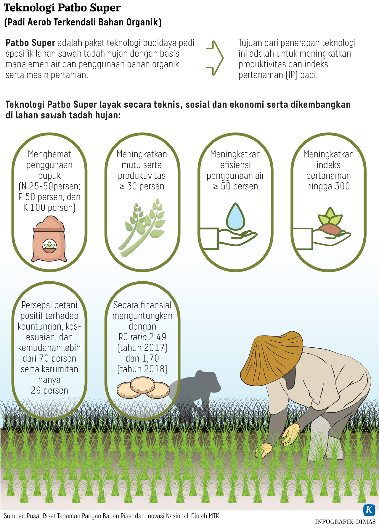 Meningkatkan Produktivitas Padi di Sawah Tadah Hujan - Kompas.id