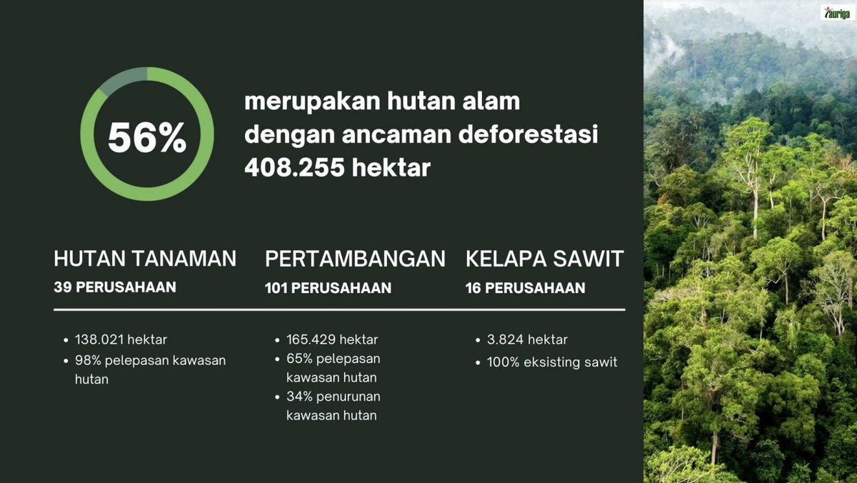 Pelepasan Kawasan Hutan di Kaltim Ancam Lingkungan dan Masyarakat - Kompas.id