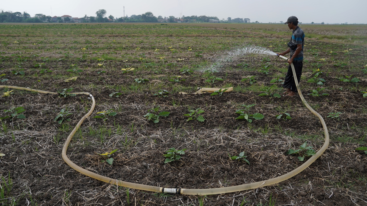 Shallow Drilling Well Water Overcomes Drought in Sukawangi - Kompas.id