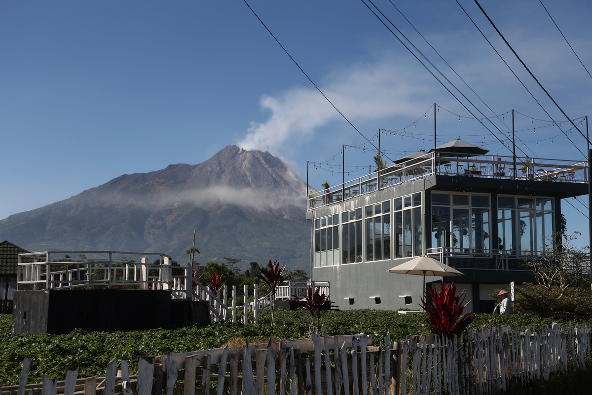 The Strawberry Tourism Garden Business Continues to Grow at the Foot of ...