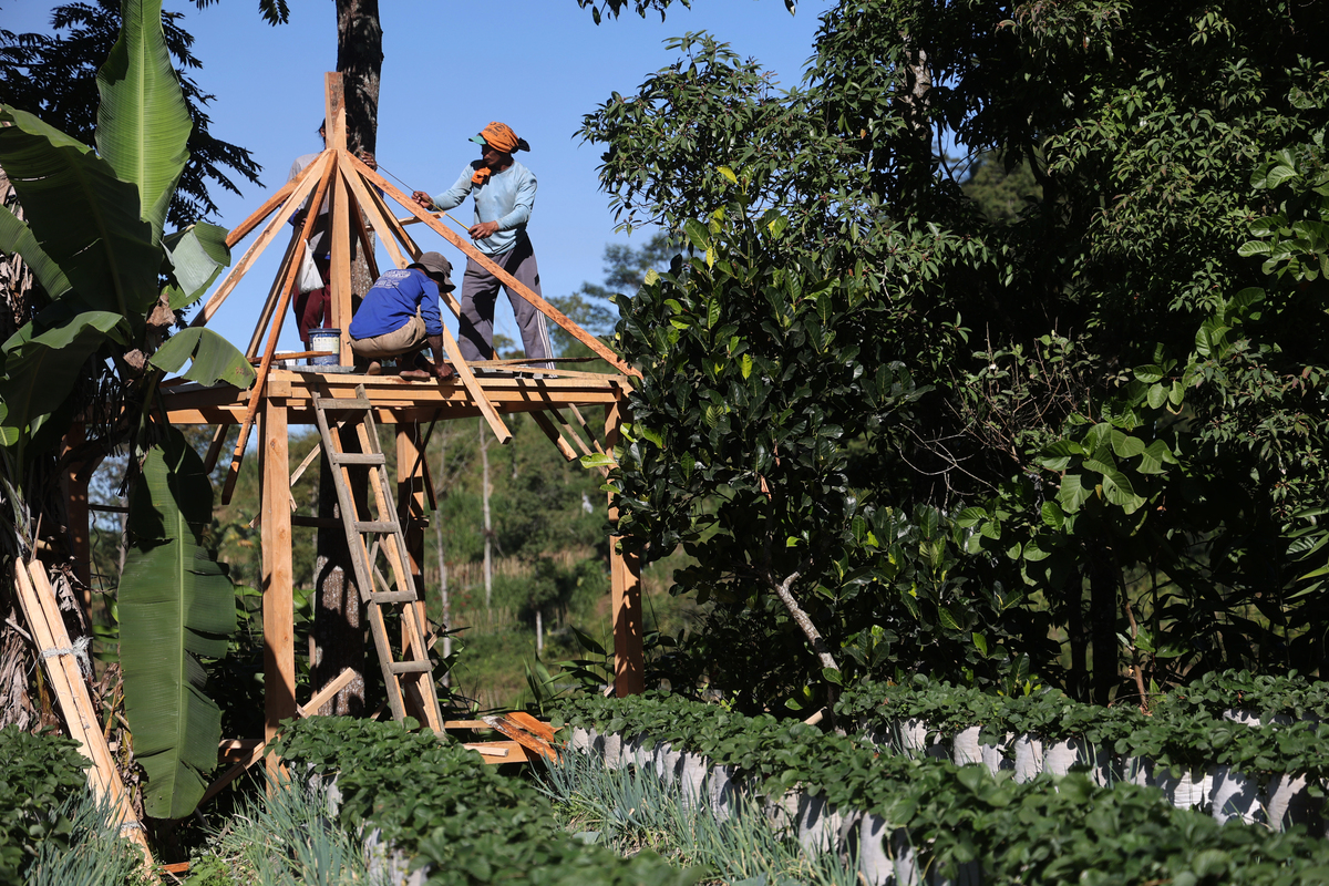 The Strawberry Tourism Garden Business Continues to Grow at the Foot of ...