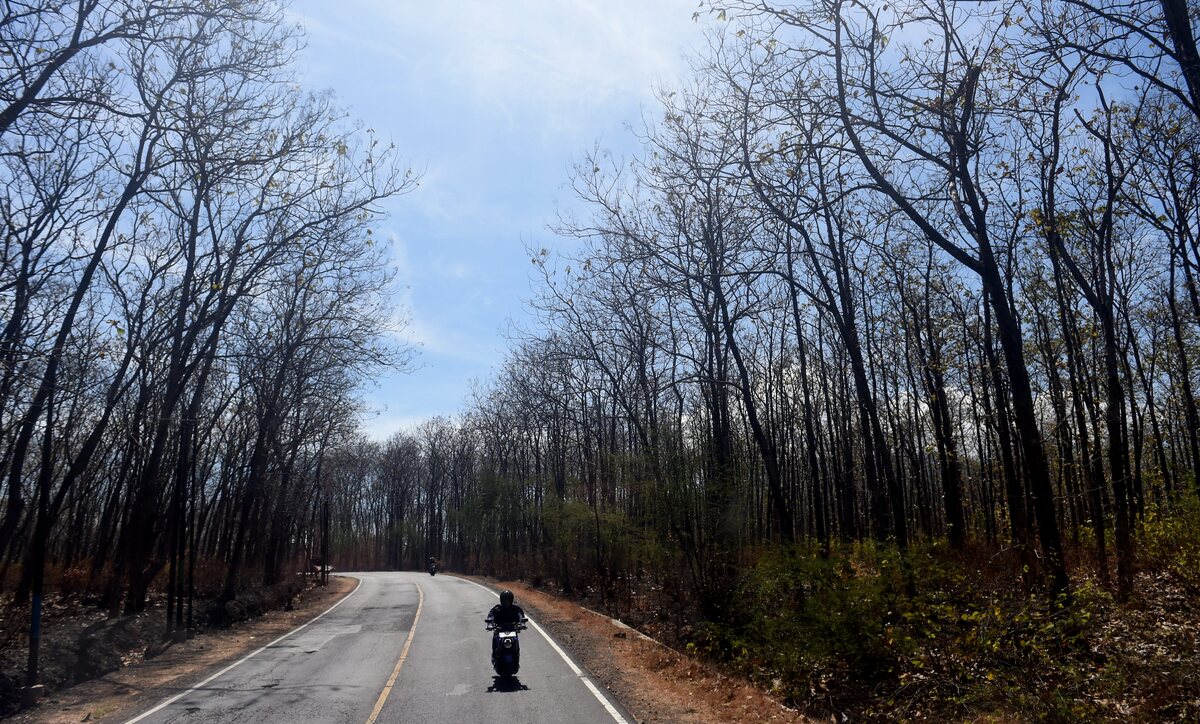 Drought in Baluran National Park - Kompas.id