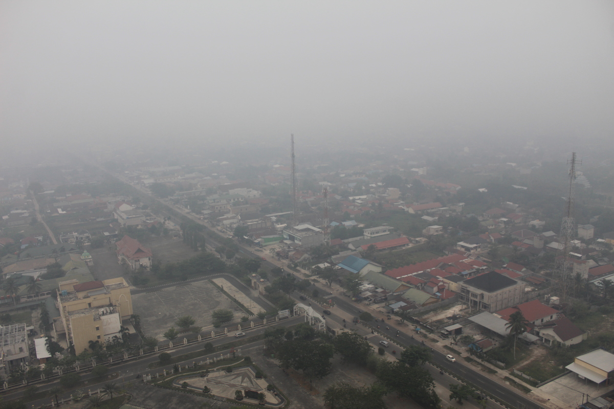 Perkara Kabut Asap Karhutla di Lintas Batas Negara - Kompas.id