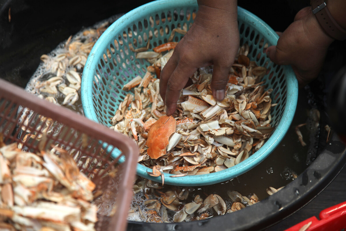 Innovation: Processing crab shell waste in Bontang into chitosan ...