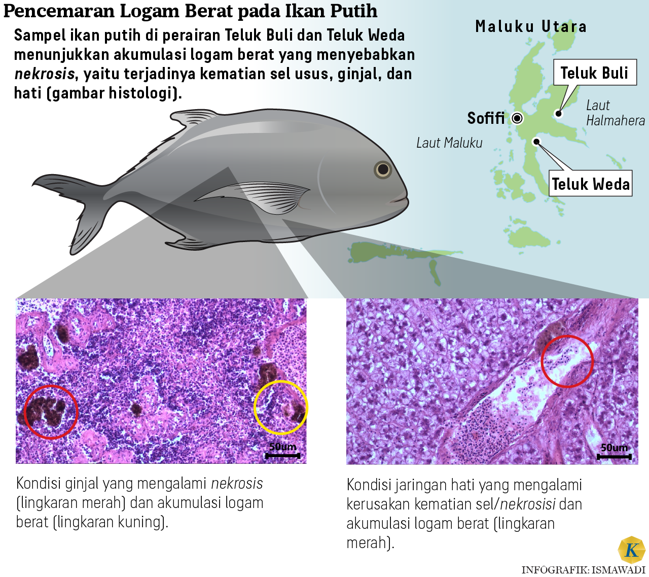 Pencemaran Logam Berat - Kompas.id