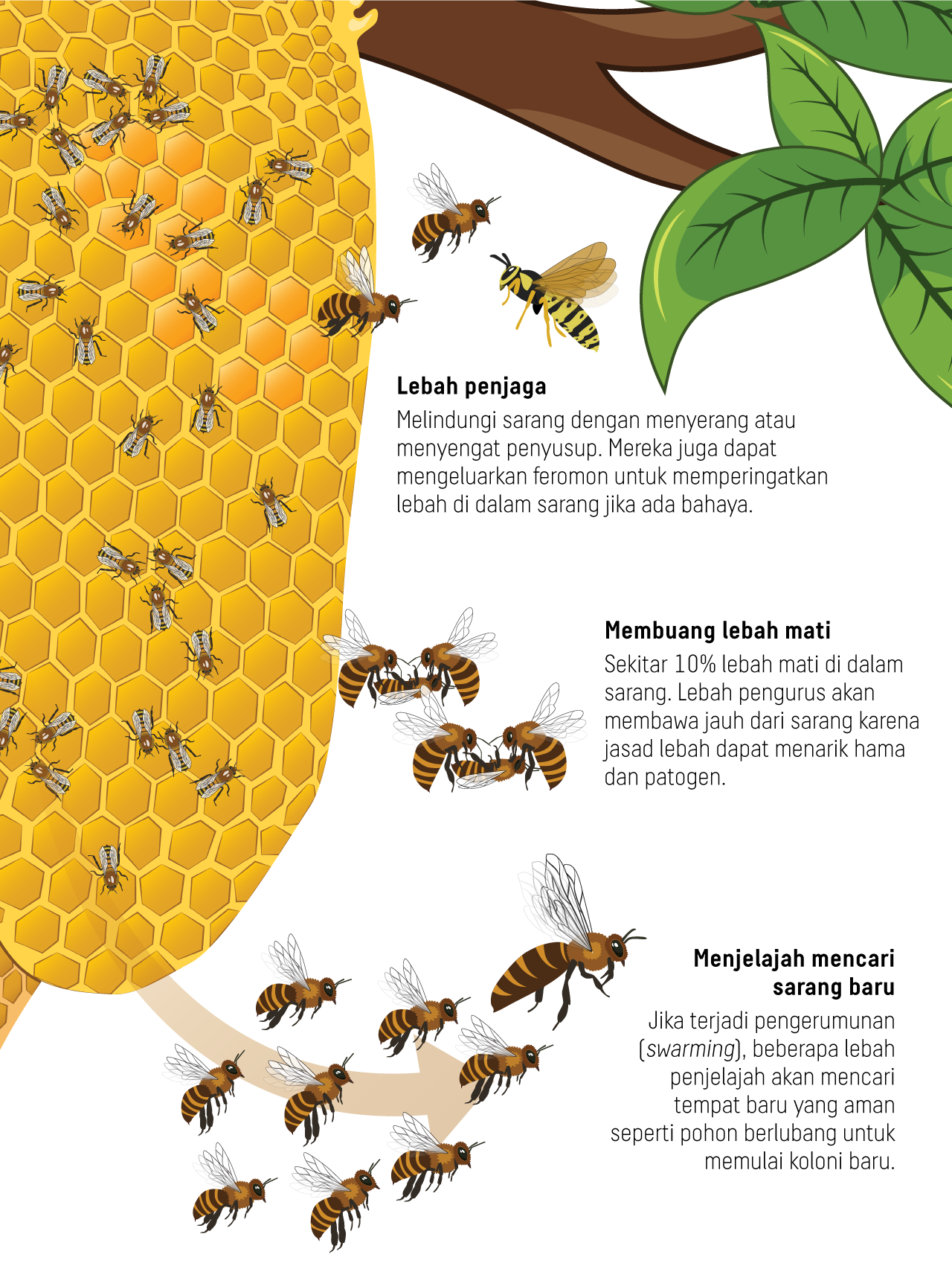 Struktur Sosial Lebah Madu - Kompas.id