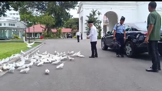 Saat Burung-burung Merpati Menyambut Wapres di Istana Merdeka ...