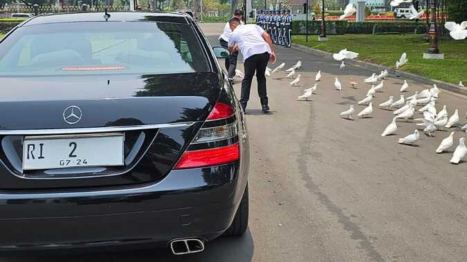 Saat Burung-burung Merpati Menyambut Wapres di Istana Merdeka ...