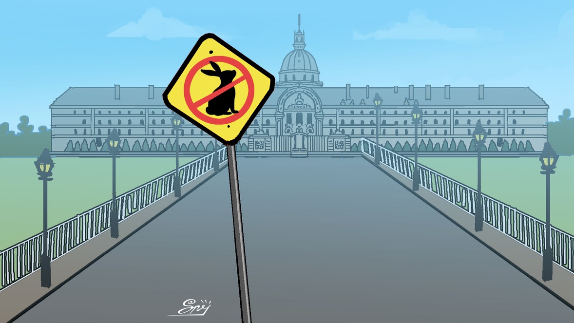 Considered a nuisance at Napoleon's grave, the rabbits in Les Invalides ...